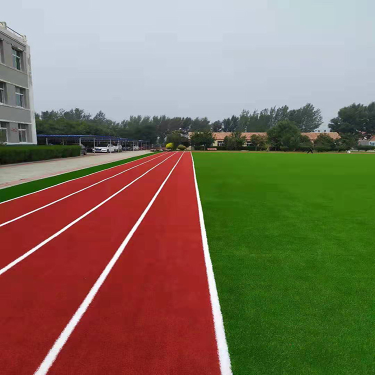 人造草坪 足球草坪厂家 草坪种植基地  沈阳跃杰