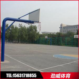 篮球架 室外 标准篮球架 可移动 升降篮球架 篮球架