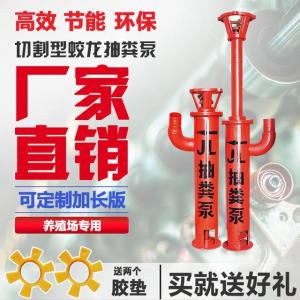 河北云海泵业厂家销售 立式绞龙泵 家用绞龙泵 诚信经营