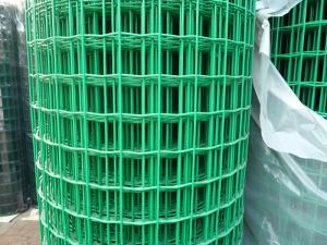 圈地养鸡隔离网 养殖电焊网 圈山铁丝网galvanized /stainless steel /pvc coated welded wire mesh