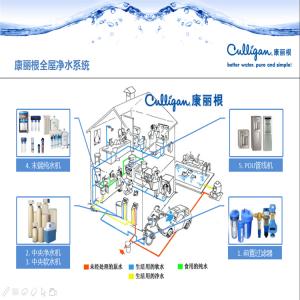 美国康丽根净水设备应用于食品、医药、电子、药品、印刷等