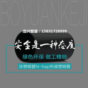 N-HAP热浸塑钢管厂家生产批发价格