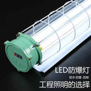 免维护LED防爆荧光灯T8LED 0.6米 0.9米 1.2米单双管工厂隔爆灯罩