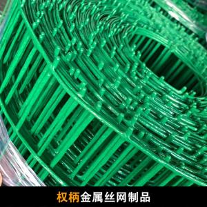 绿色荷兰网 养殖荷兰网