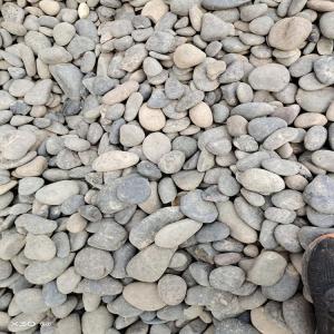 天然卵石 鹅卵石价格 园艺天然鹅卵石  亿诚建材