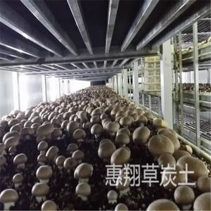 食用菌专用泥炭 营养土价格 营养土批发 专业食用菌泥炭