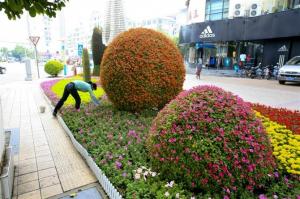 厂家直销供应优质景观花球景观花球厂