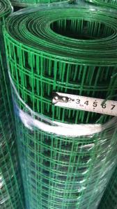 农业养殖网 养鸡用的钢丝网 养鸡场荷兰网galvanized /stainless steel /pvc coated welded wire mesh