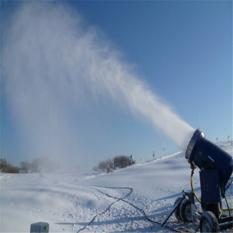 山东制雪机标准