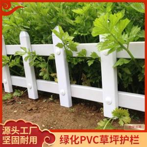 绿化带围栏pvc草坪护栏直销