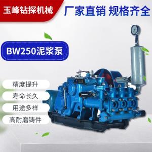 BW250泥浆泵