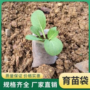 无纺布育苗袋 免脱袋营养袋 育苗容器