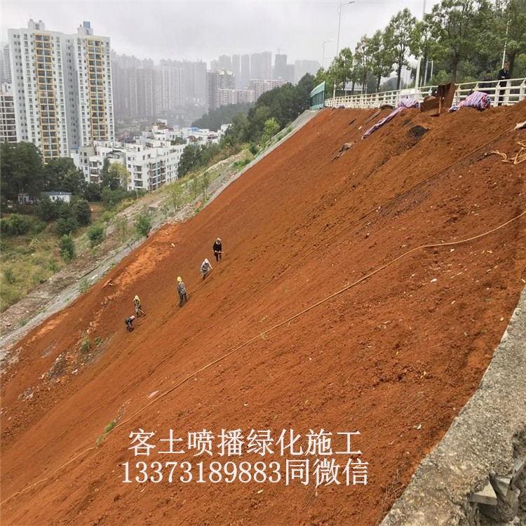 会理公路护坡绿化客土喷播厂家河北祥林