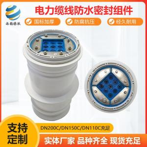 信息缆线防水密封组件DN200-C