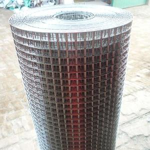 镀锌铁丝网价格 绿化铁丝网 冷镀锌电焊网 galvanized /stainless steel /pvc coated welded wire mesh